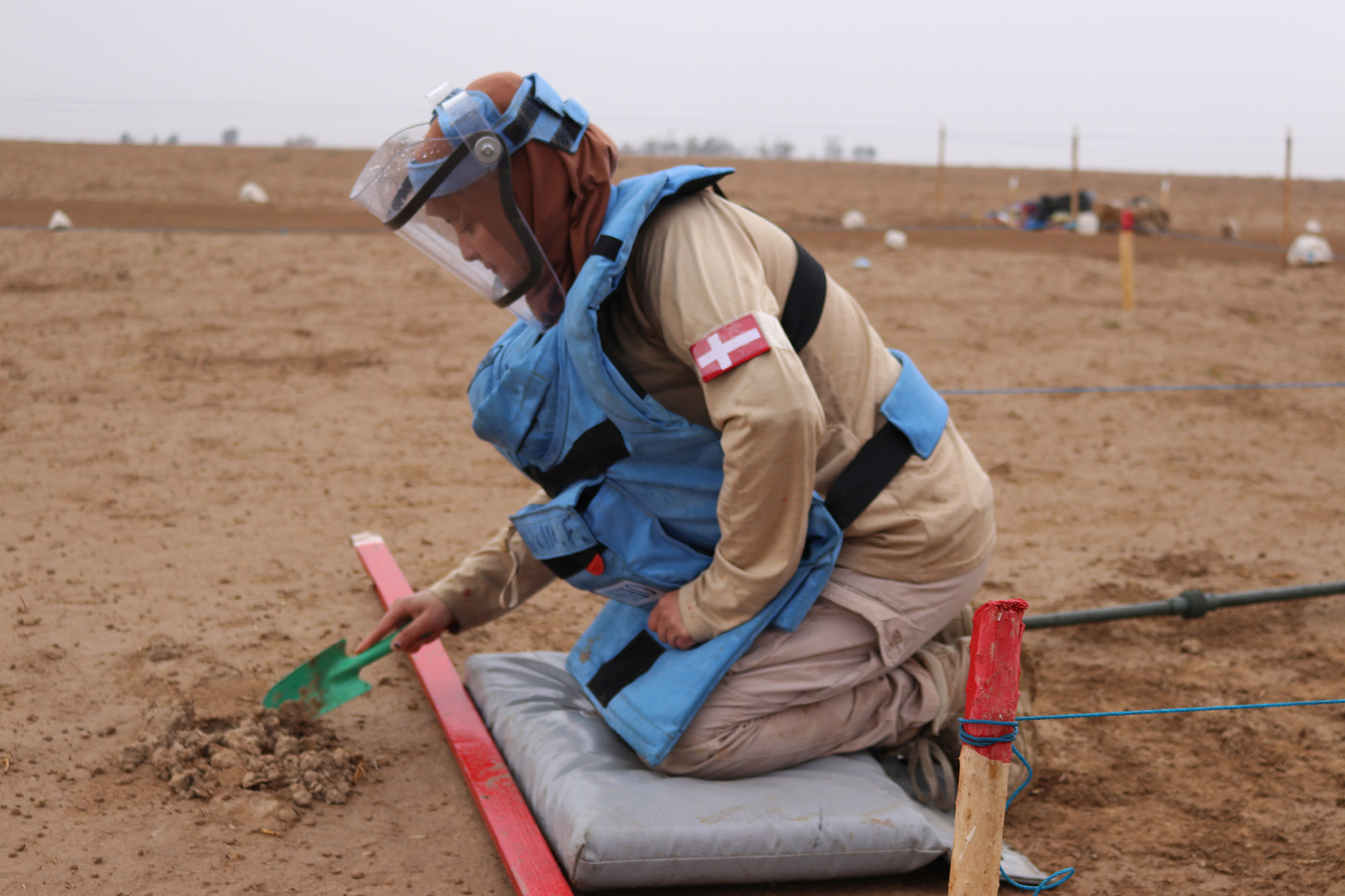 Press release: The Government of Denmark continues its support to ...